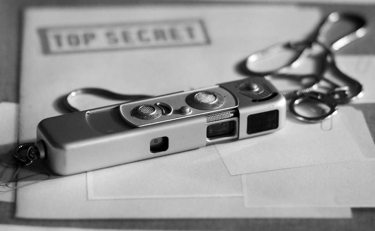 Unlock Fun and Learning with I Spy Printables - The Parenting Pro